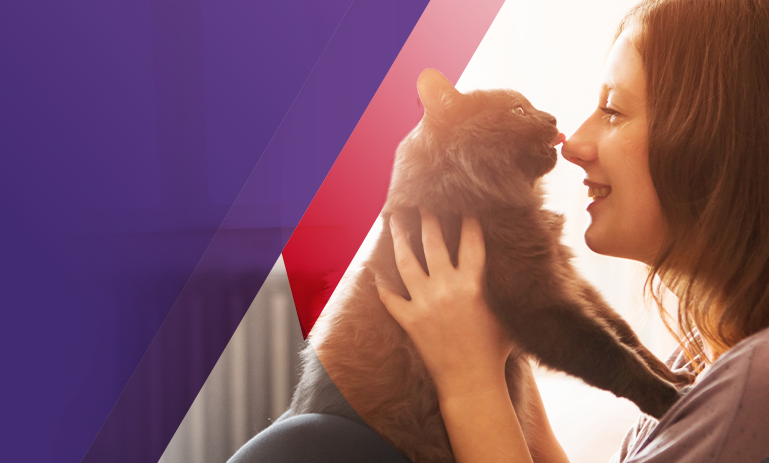 Descubra la solución Bravecto® Spot-On Plus para Gatos