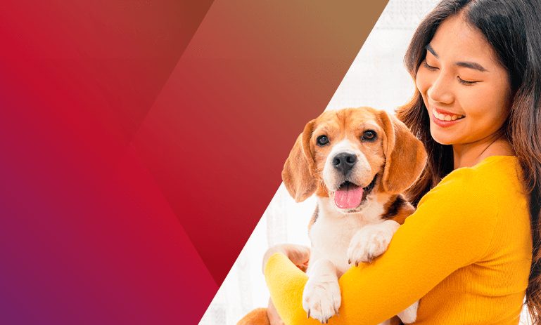 Bravecto - Soluciones efectivas contra pulgas y garrapatas