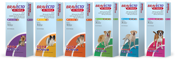 Bravecto® 1M triple - Bravecto LATAM