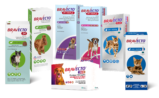 Bravecto® 1M triple - Bravecto LATAM
